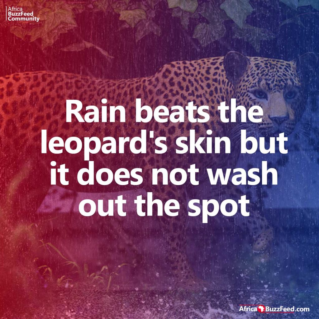 27 African proverbs and their meaning you didn’t know | The Africa Channel
